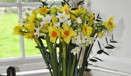 Welcome - Cornish Blooms