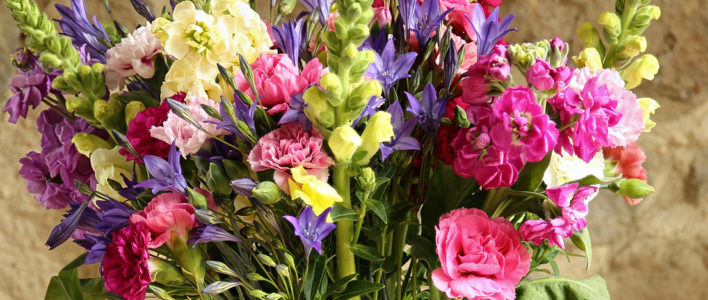 Welcome - Cornish Blooms