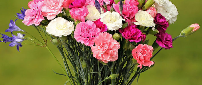 Welcome - Cornish Blooms