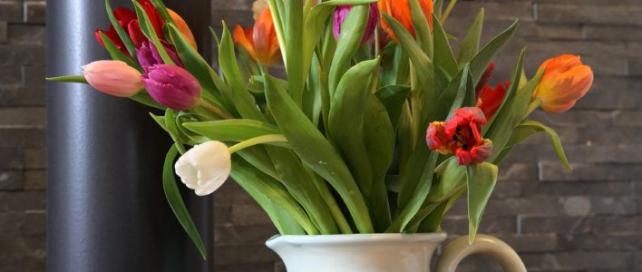 Welcome - Cornish Blooms