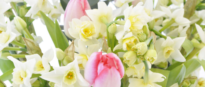 Welcome - Cornish Blooms