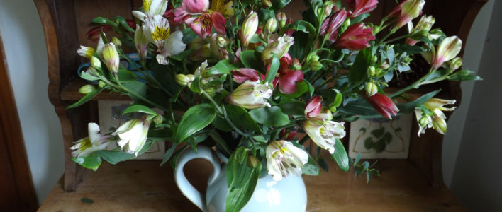 Welcome - Cornish Blooms