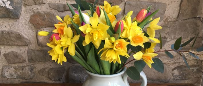 Welcome - Cornish Blooms