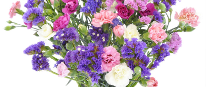 Products - Cornish Blooms