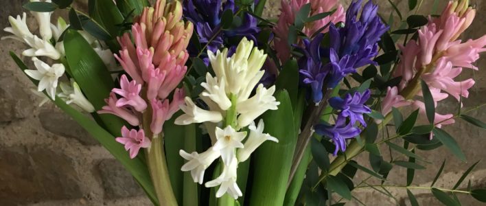 Welcome - Cornish Blooms