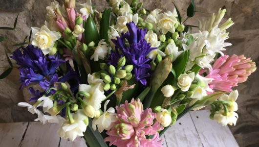Welcome - Cornish Blooms