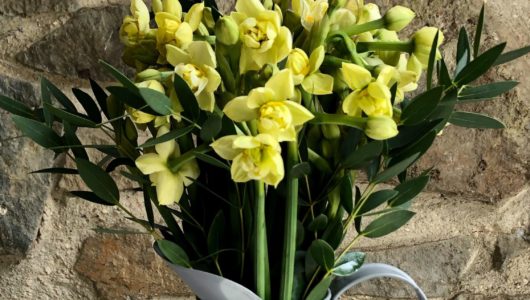 Welcome - Cornish Blooms