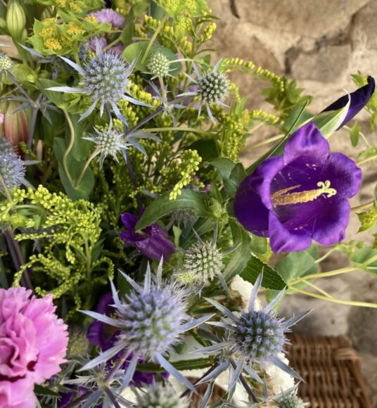 Cornish Flowers - A Mixed Bunch - Cornish Blooms