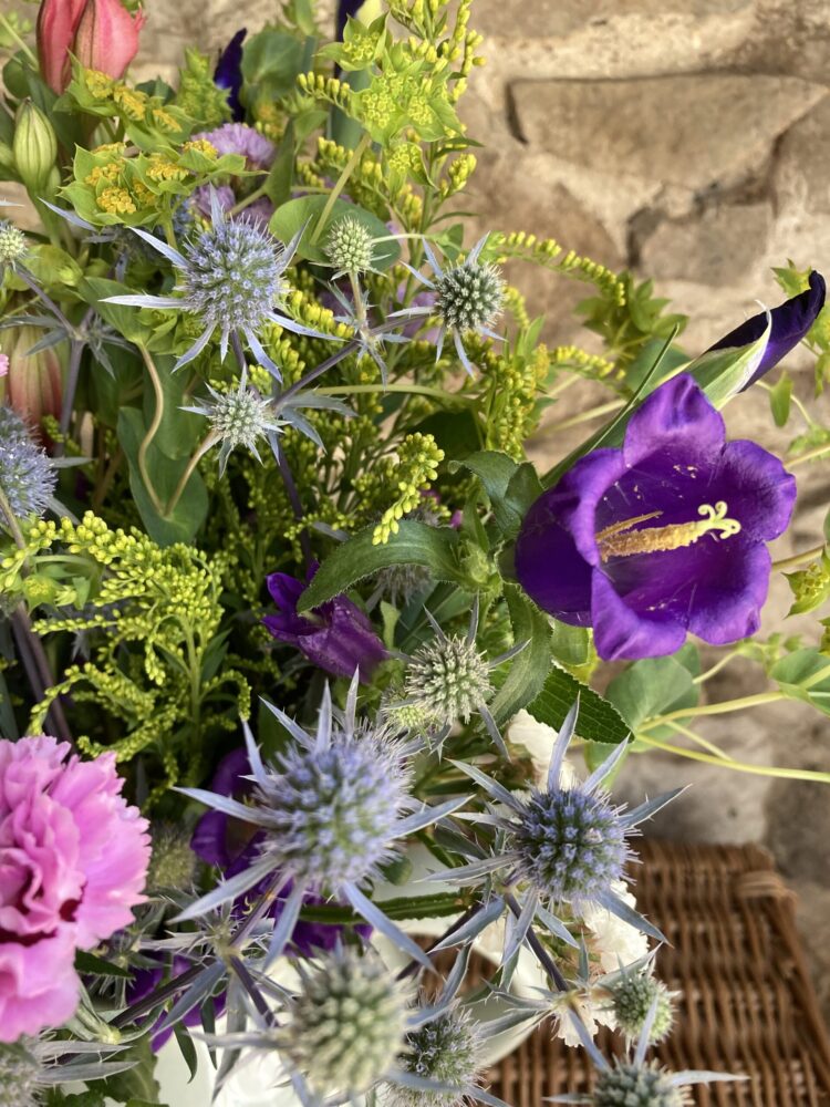 Cornish Flowers - A Mixed Bunch - Cornish Blooms