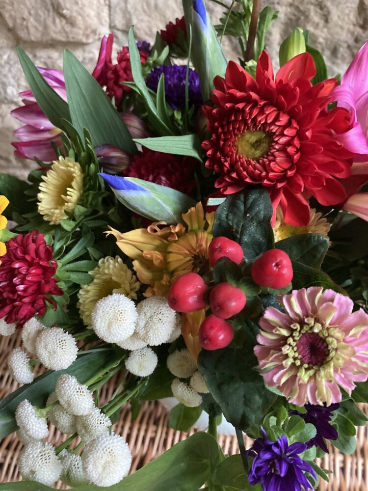 Cornish Flowers - A Mixed Bunch - Cornish Blooms