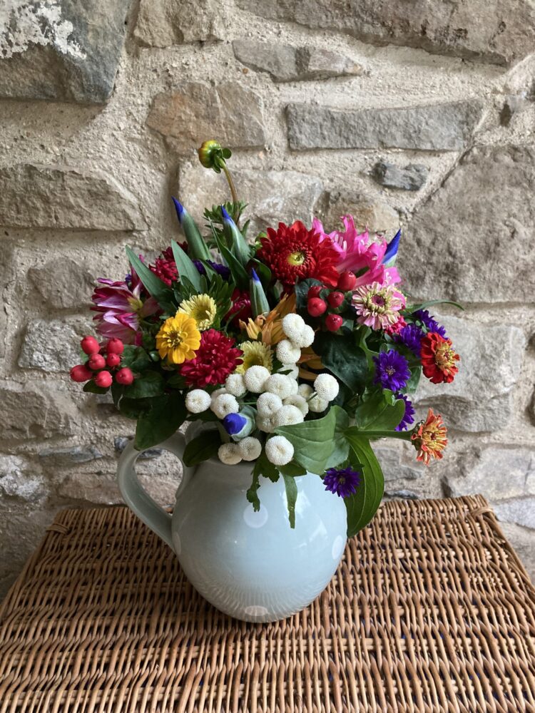 Cornish Flowers - A Mixed Bunch - Cornish Blooms